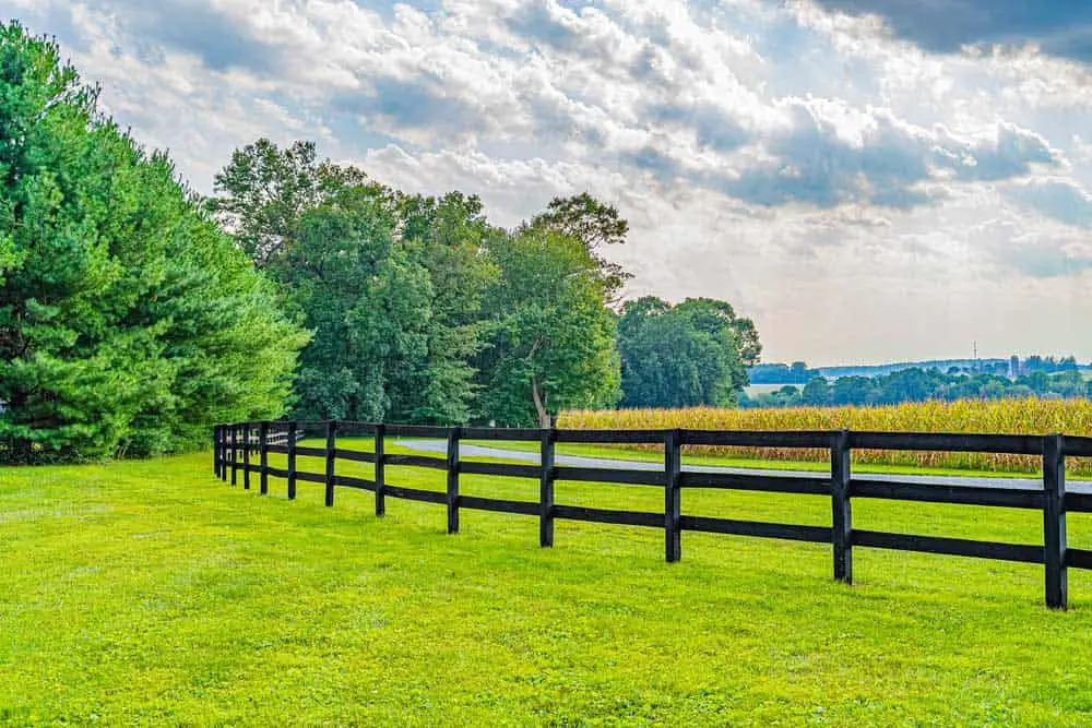 Starlink vs Verizon- Can I use Verizon in Rural Areas